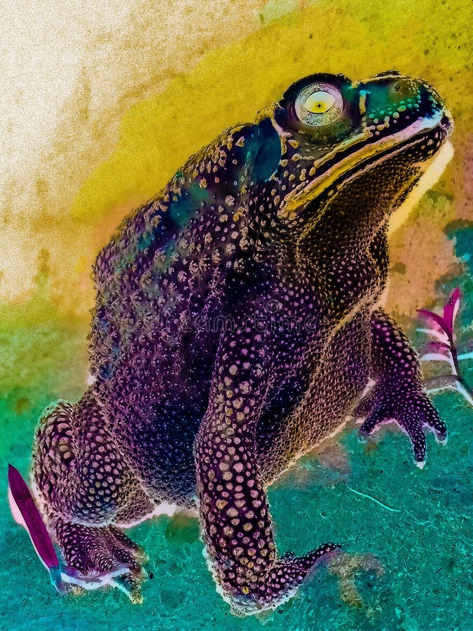 446 Scary Frog Stock Photos - Free & Royalty-Free Stock Photos from ...