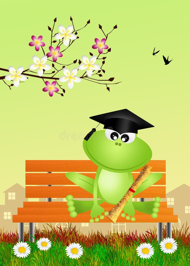 Frog in graduation cap stock vector. Illustration of square - 78277727