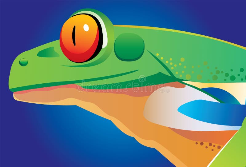 Frog Head Stock Illustrations – 4,872 Frog Head Stock Illustrations ...