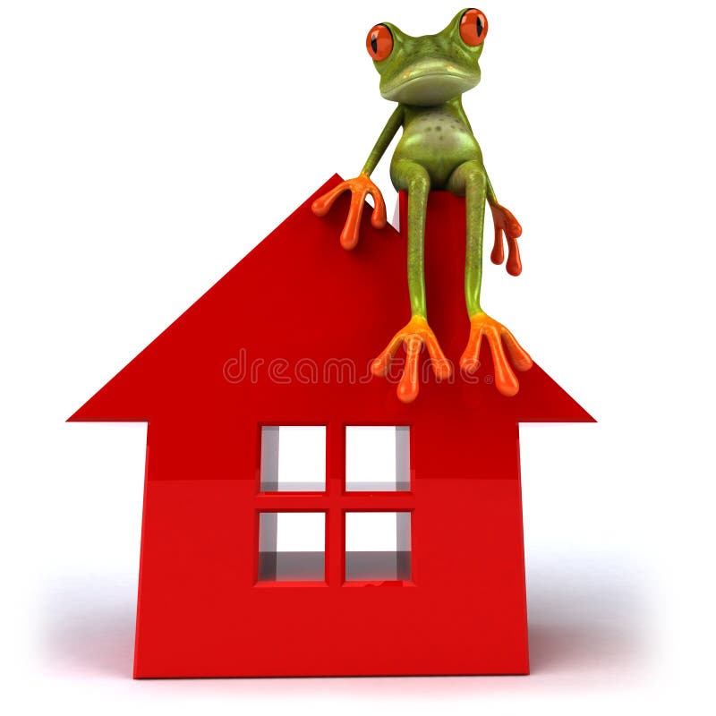 Frog boxing stock illustration. Illustration of animal - 11200963
