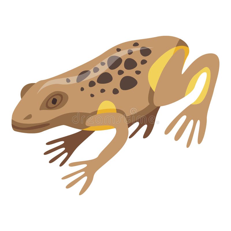 Frog Top View Stock Illustrations – 177 Frog Top View Stock ...