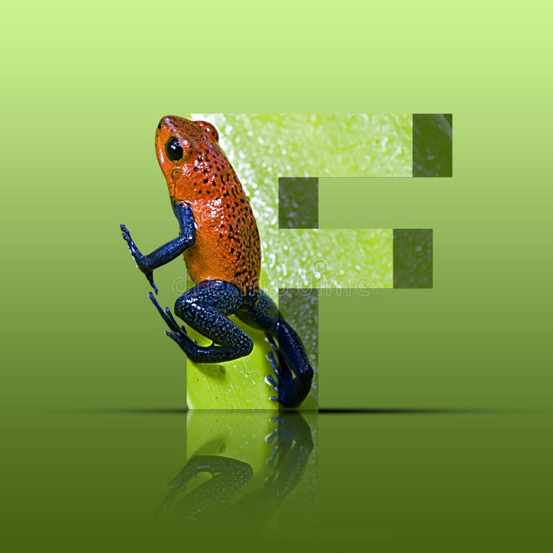 Jugoslav Drobnjak (Dusica69) - Photographer profile