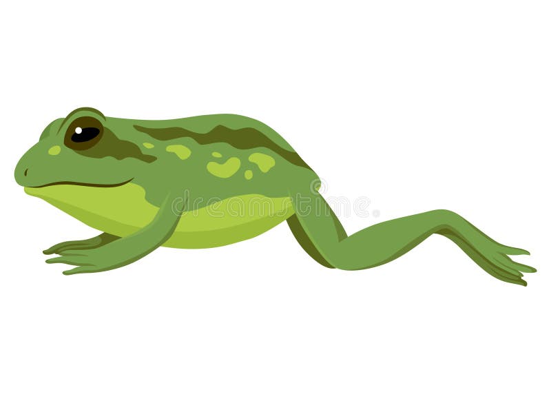Frog Jumping Animation Icon. Sequences or Footage for Motion Design ...