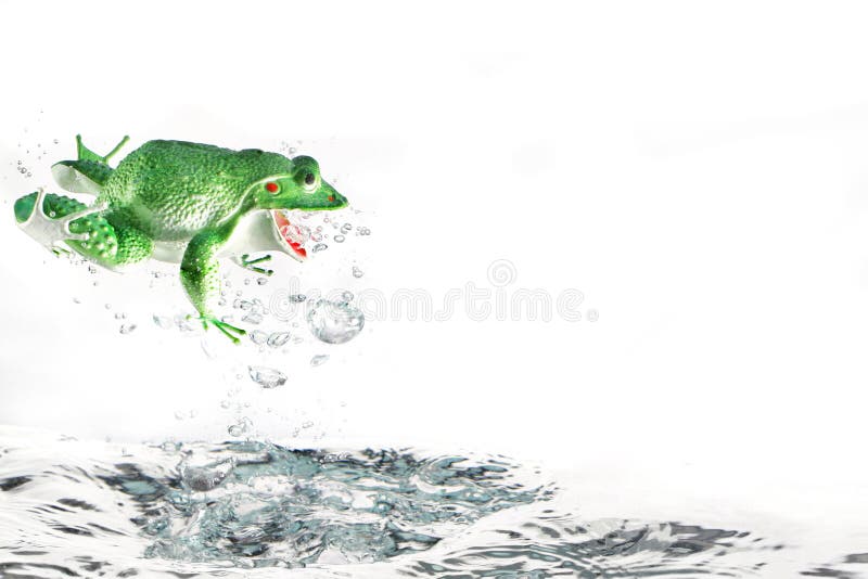 Jumping Frog Stock Photos - Download 1,180 Royalty Free Photos