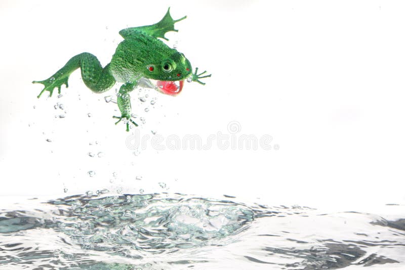 Frog stock photo. Image of overcome, bubbles, starter - 31091804