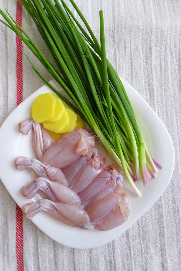 Frog Legs Prepared, Cooking Ingredients Stock Photo - Image of fresh ...