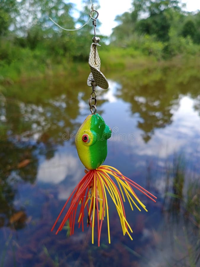 Frog-like Bait Used for Casting Snakehead Fish Stock Image - Image of ...