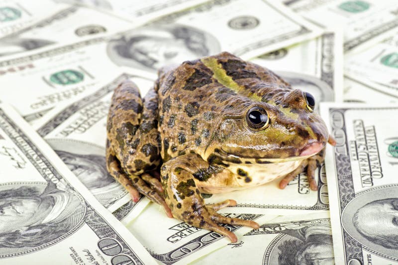 870 Frog Money Stock Photos - Free & Royalty-Free Stock Photos from ...