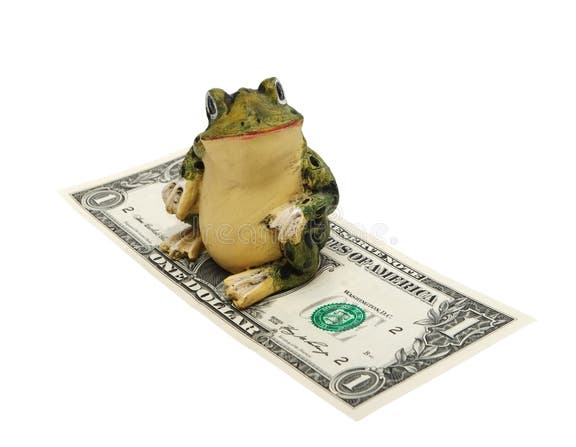 Frog and Money on a White Background (isolated). Stock Photo - Image of ...