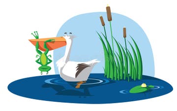 Frog and Pelican stock illustration. Illustration of vegetation - 14317739