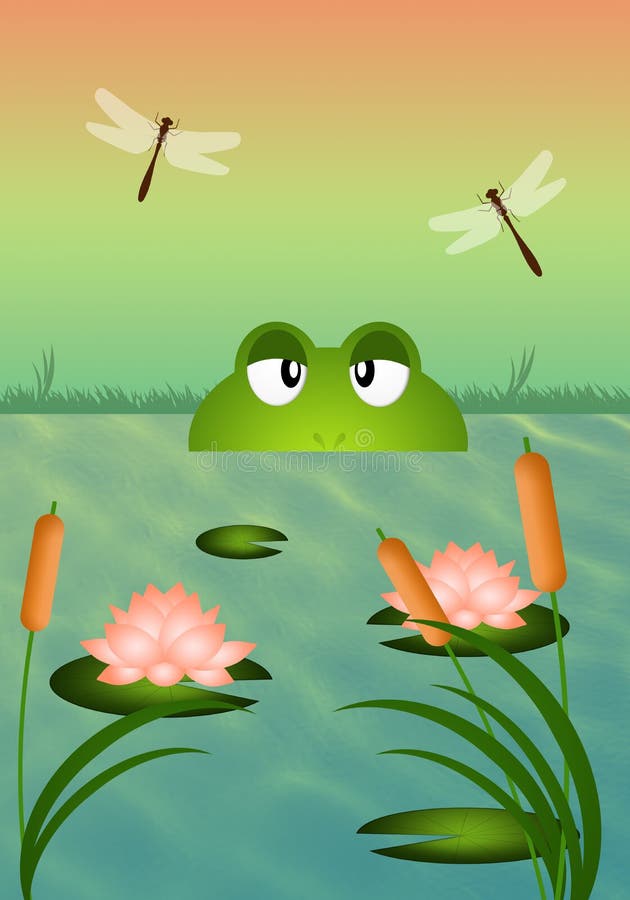 Frog Pond Stock Illustrations – 2,620 Frog Pond Stock Illustrations ...
