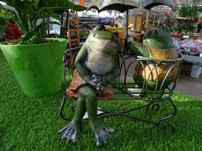 Frog resting on a bench stock image. Image of frog, bench - 51195001