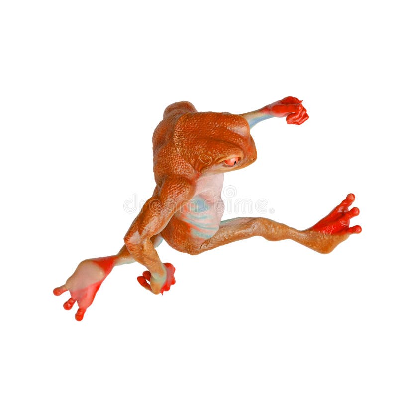 Frog is Running in Isometric View Stock Illustration - Illustration of ...