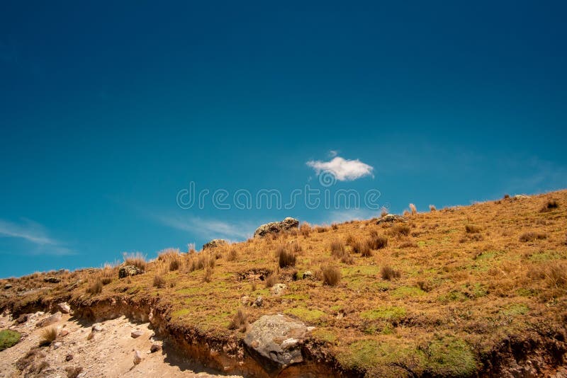Frog Shaped Rock on Top of the Hill in the Peruvian Andes Stock Photo ...