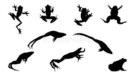 Tree Frog Stock Illustrations – 23,162 Tree Frog Stock Illustrations ...