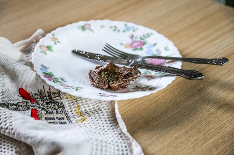 Frog Sitting on the Plate with Silver Fork and Knife Stock Image ...
