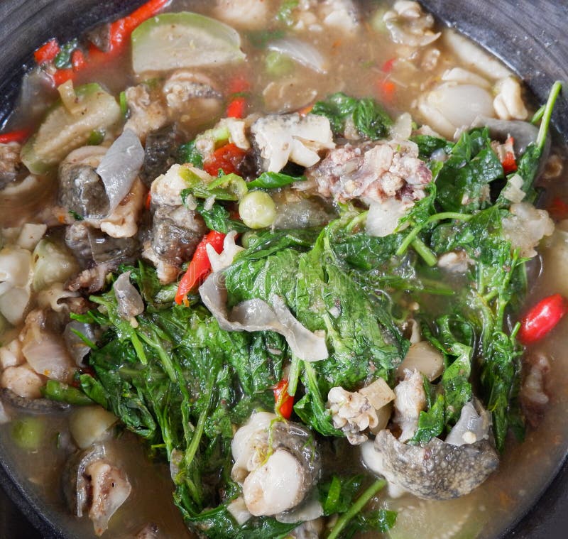 Frog soup stock image. Image of juicy, color, carrots - 94055549