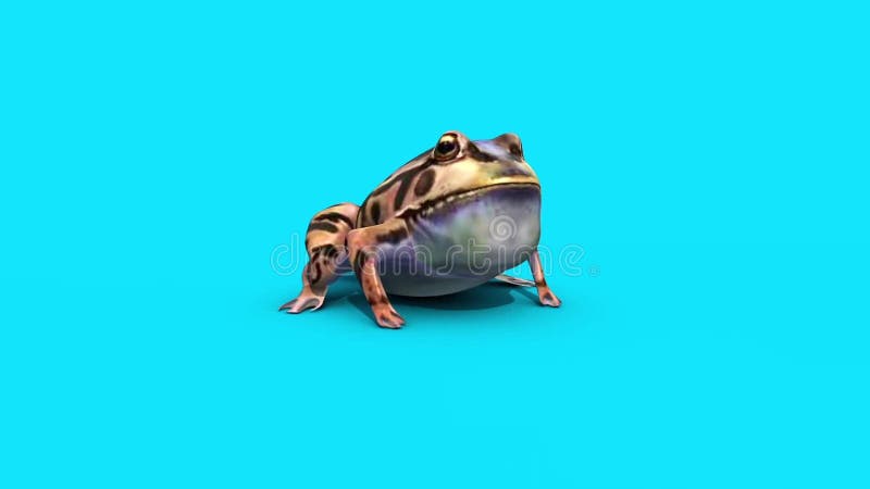 Frog Toad Blue Screen 3D Rendering Animation Stock Video - Video of ...