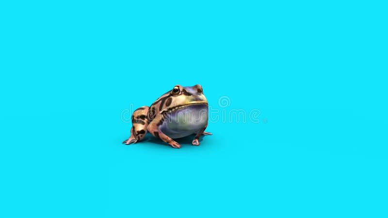 Frog Toad Jumps Side Blue Screen 3D Rendering Animation Stock Footage ...