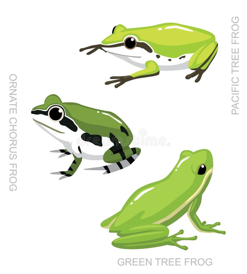 Frog Tree Frog Set Cartoon Vector Illustration Stock Vector ...