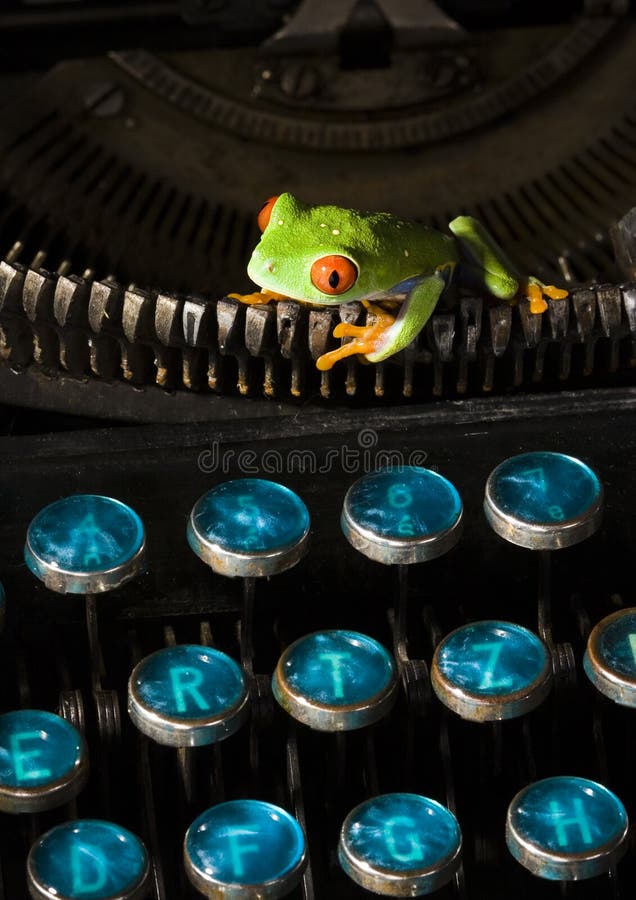 Frog on the typewriter stock image. Image of amphibia - 2159915