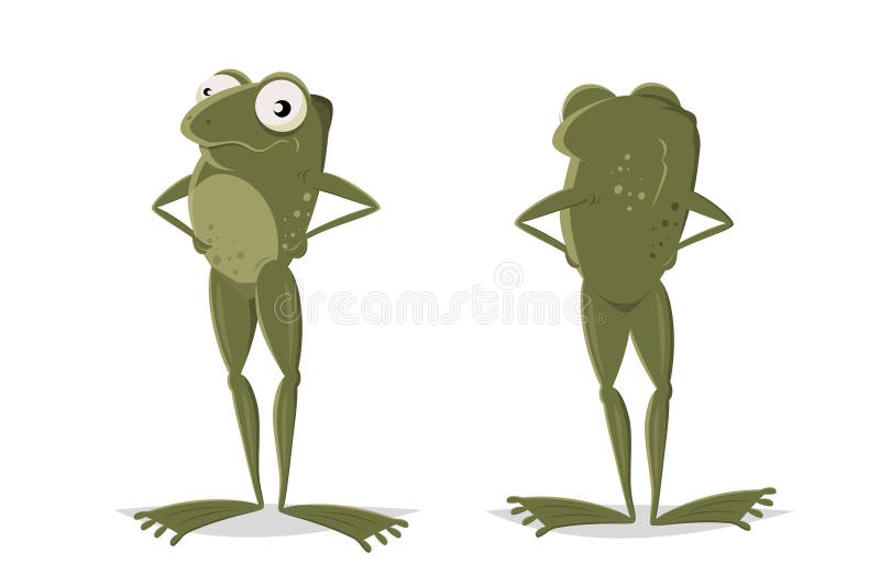 Cartoon Frog in Front View and Rear View Stock Vector - Illustration of ...