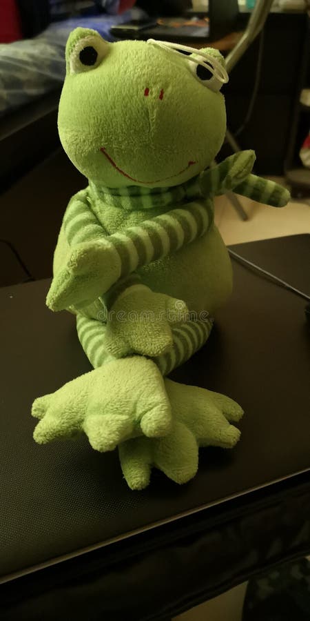Froggy stock photo. Image of cuddle, frog, froggy, softtoy - 138770976