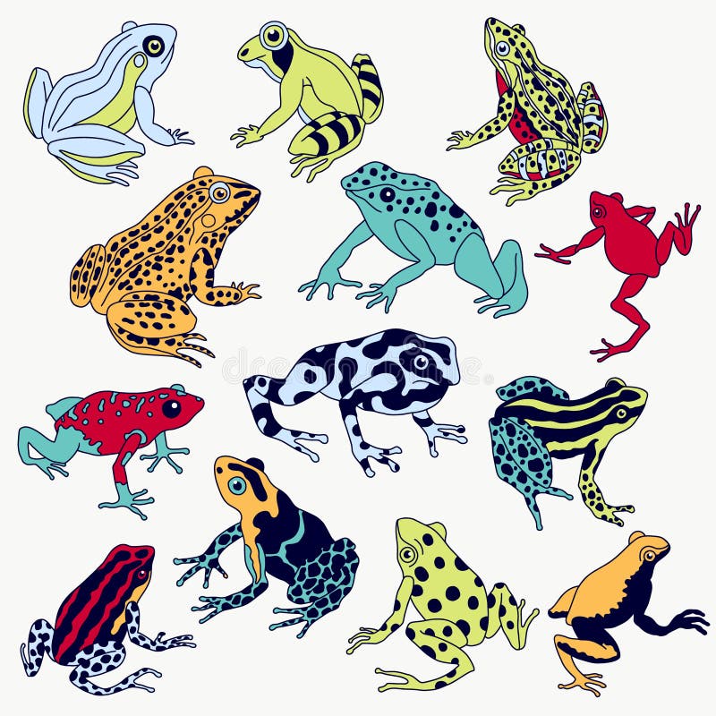 Frogs set stock vector. Illustration of wildlife, tropical - 130462809