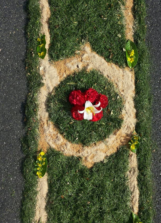 Fronleichnam Corpus Christi Blumenteppich Stockbild - Bild von christi ...