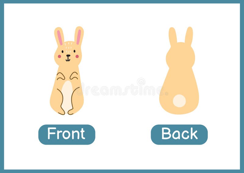 Front and Back Opposite Adjectives Educational Flashcard Stock ...
