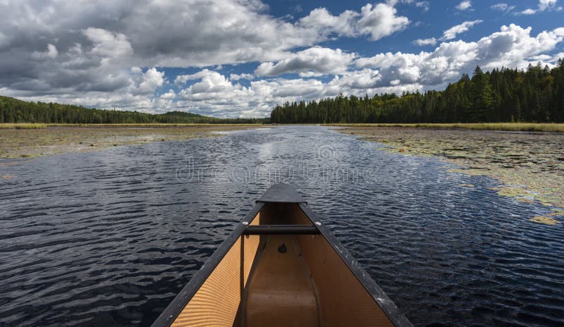 Front of a Canoe on a Beautiful Blue Lake with Pines and Birch on the ...