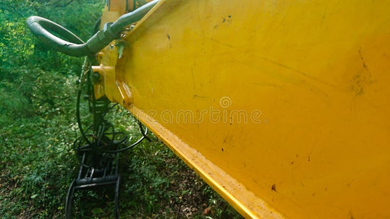 JCB Digger in Forest. Deforestation Editorial Stock Image - Image of ...