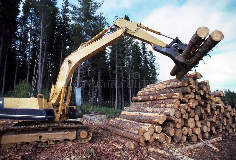 Front End Laoder Stacking Logs on a Forestry Coupe Stock Photo - Image ...