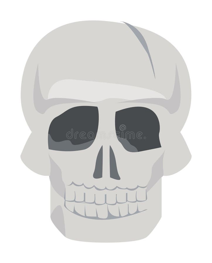 Front head skull stock illustration. Illustration of human - 215479010