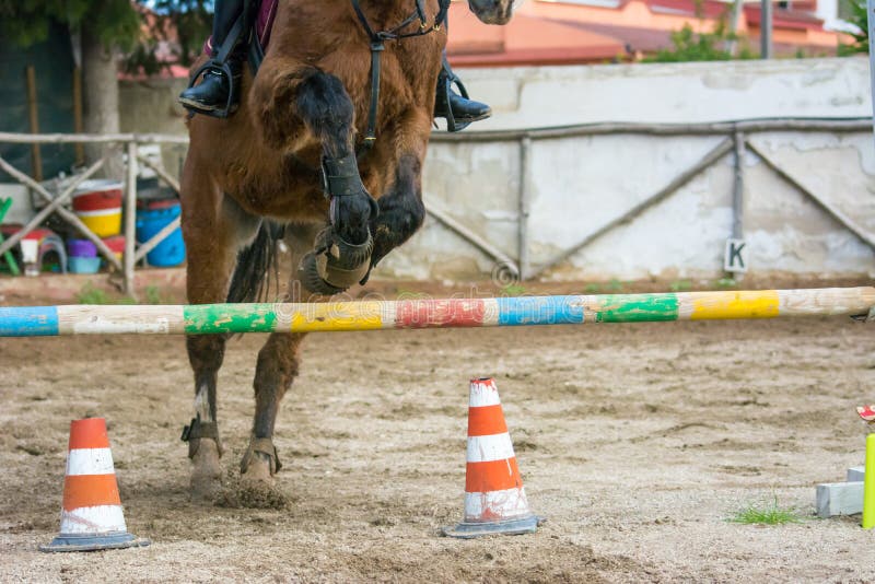 Front Horizontal View of a Brown Horse Jumping the Obstacle Stock Photo ...