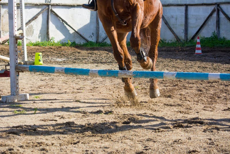 Front Horizontal View of Een Bruin Paard Die De Hindernis Springen ...
