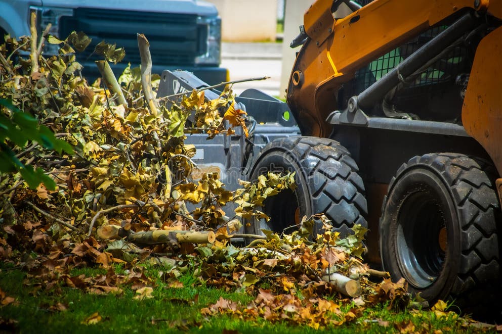 Front Loader Cleaning Up Limbs and Leaves after Storm Stock Image ...