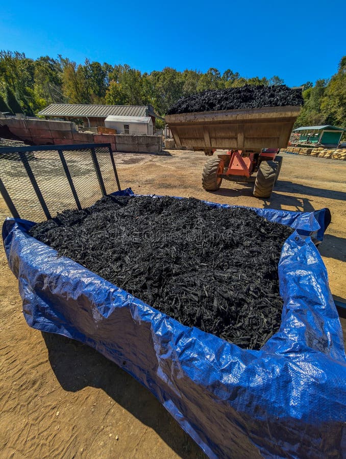 Front Loader Loading Black Mulch on Small Trailer Stock Image - Image ...