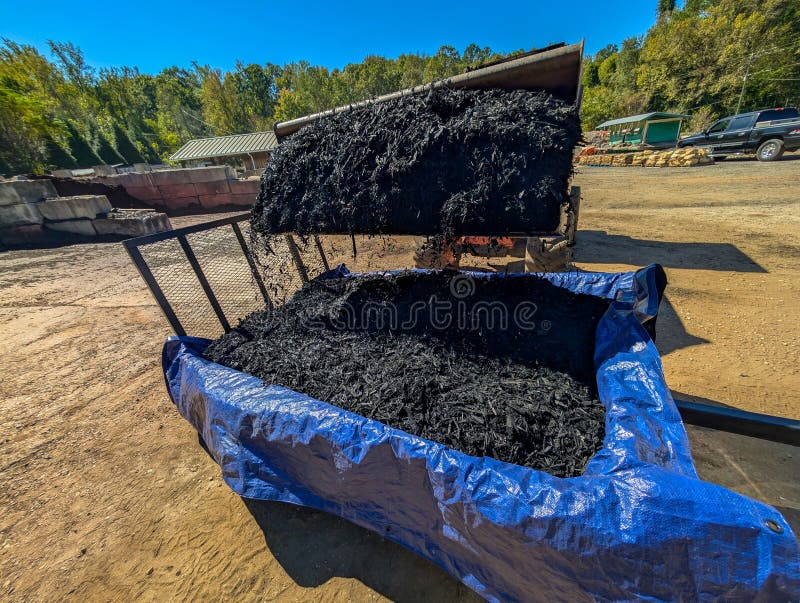 Front Loader Loading Black Mulch on Small Trailer Stock Image - Image ...