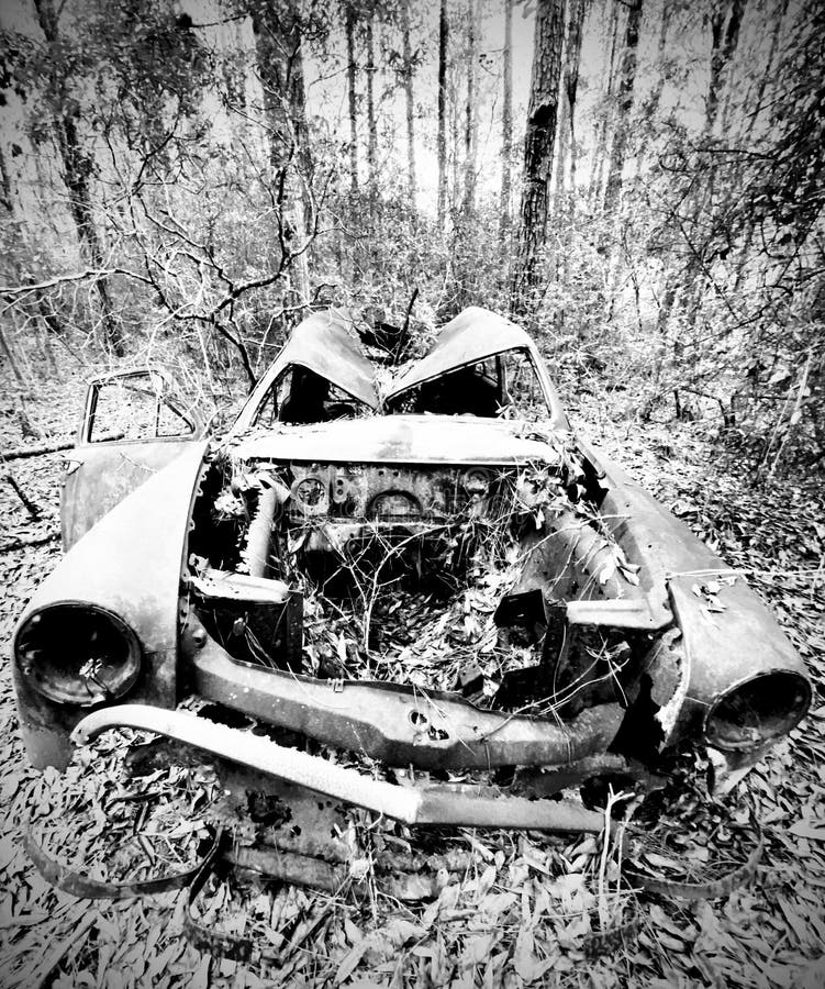 Front of Old Wrecked Car Missing the Hood Buried in the Deep Woods ...