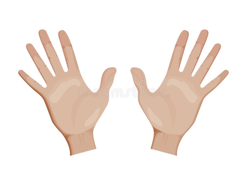 Front Palm Side of Hand Vector Illustration Design. Stock Illustration ...