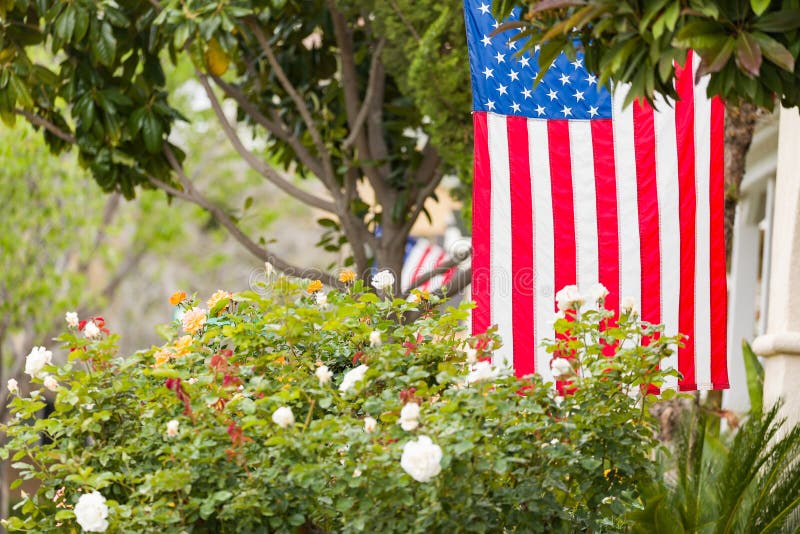 Front Porches with American Flags. Stock Photo - Image of flags ...