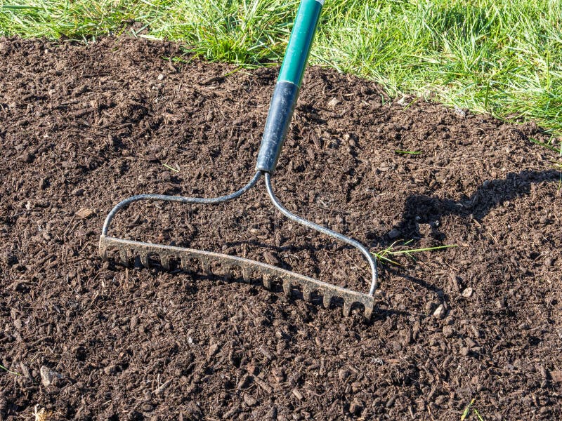 The Front of a Rake Working with Overseeding Grass on Lawn Stock Image ...