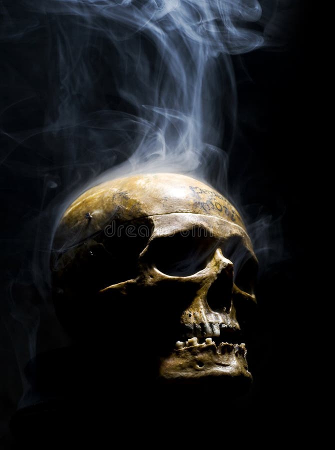 Front of real skull stock image. Image of horror, real - 69605225