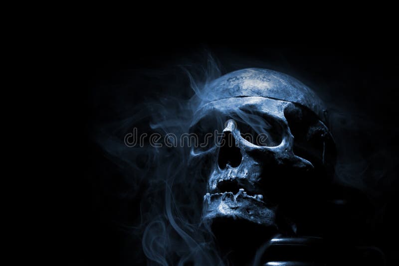 926 Real Human Skull Photos - Free & Royalty-Free Stock Photos from ...