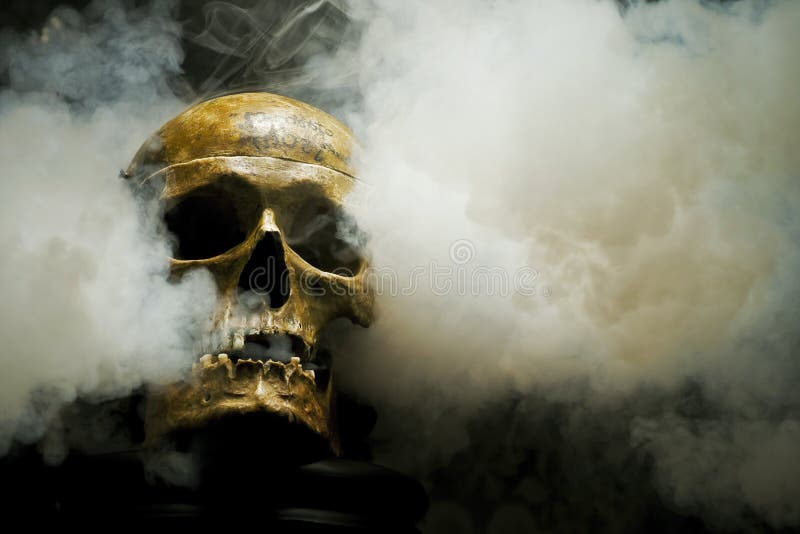 523 Real Human Skull Stock Photos - Free & Royalty-Free Stock Photos ...