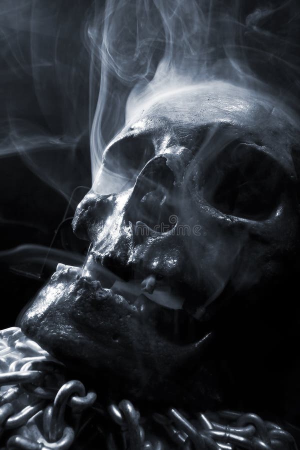 Front of real skull stock image. Image of cranium, pirate - 69605471