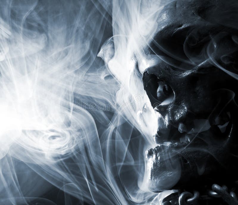 Front of real skull stock image. Image of halloween, ancient - 69605477