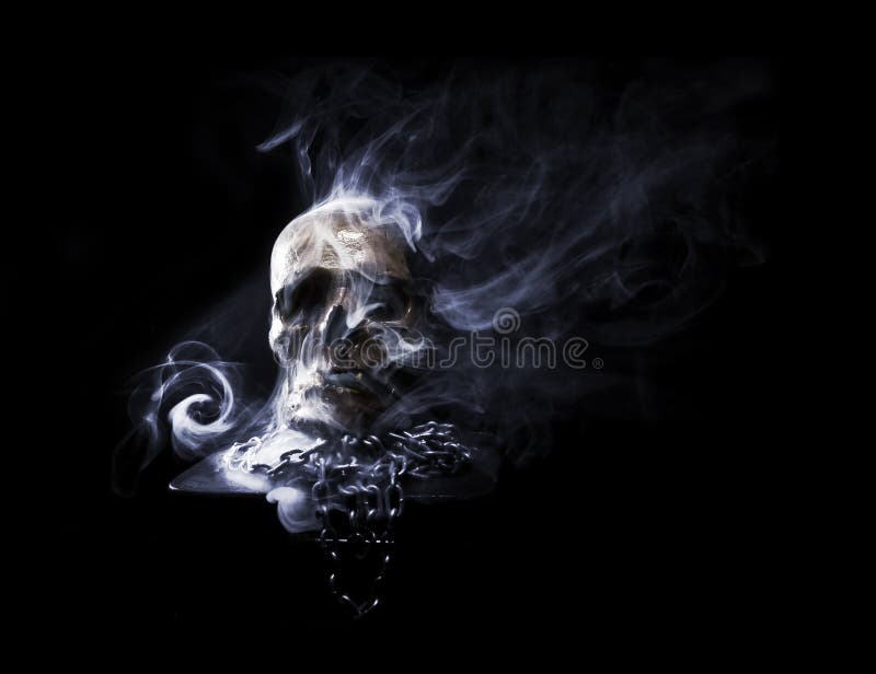 523 Real Human Skull Stock Photos - Free & Royalty-Free Stock Photos ...