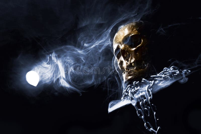Front of real skull stock image. Image of death, head - 69605569